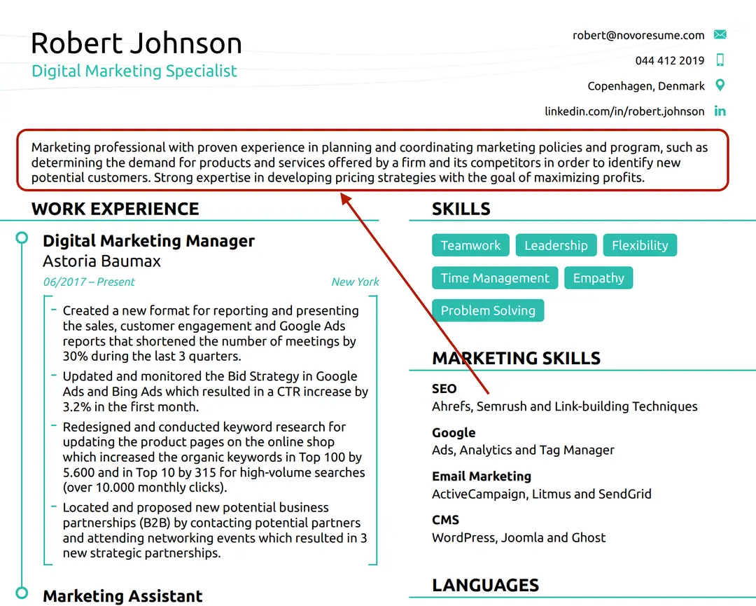 Combination Resume Guide [w/ Templates & Examples]