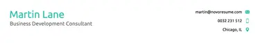Show Contact Information on Your Resume - How-To & Examples | Novoresume