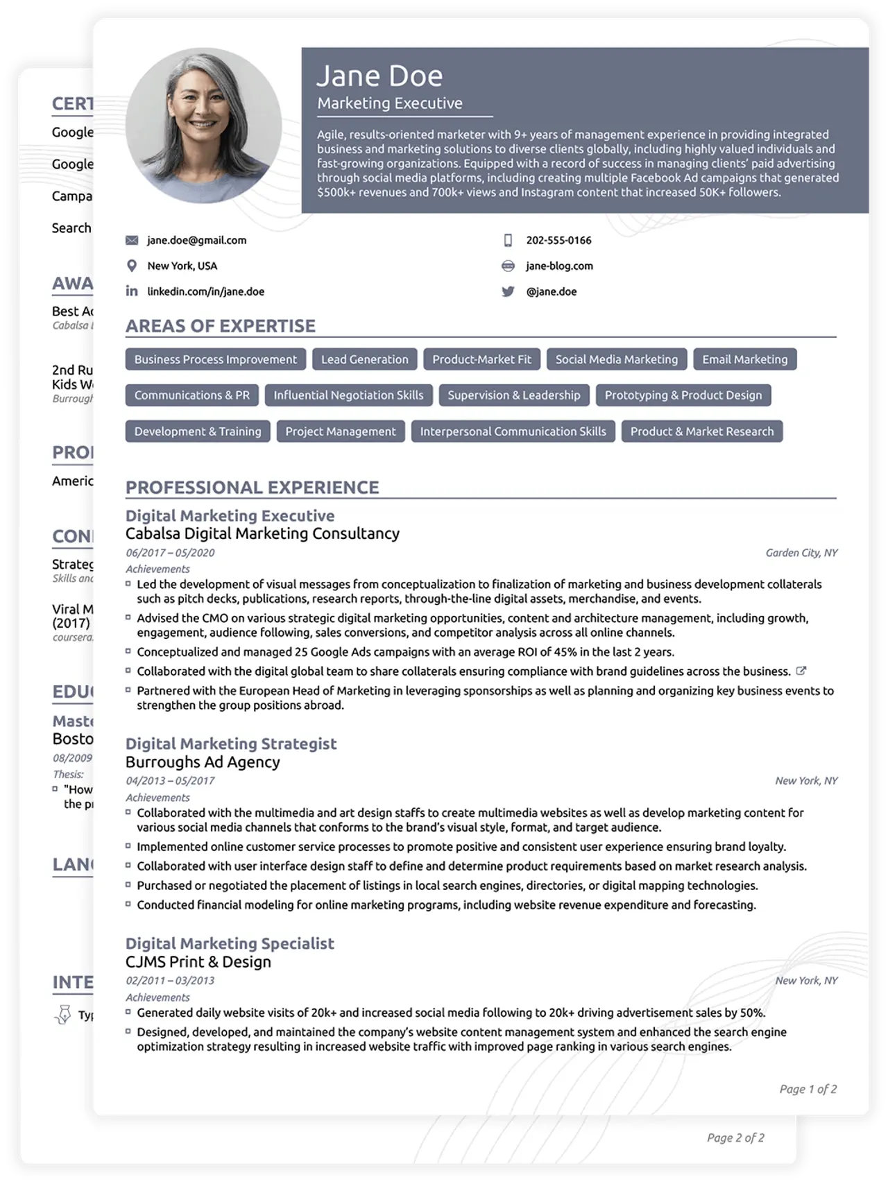 CV Design: 8+ Best Professional CV Templates in 2025 | Novoresume