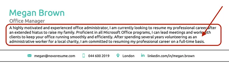 How to Write a CV Personal Statement [+4 Real-life Examples]