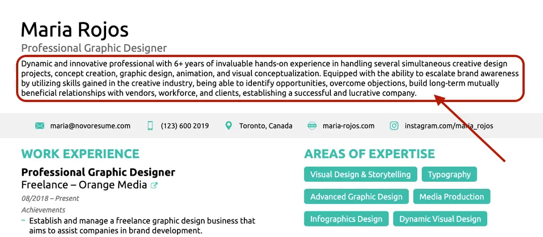 Graphic Designer Resume Sample & Guide [21+ Examples] | Novoresume