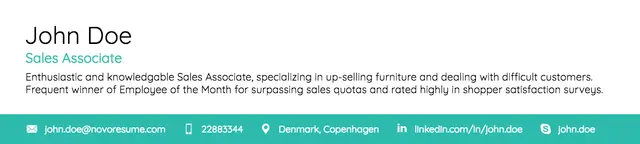 Job Titles - Examples for Your Resume & Job Search for 2025 | Novoresume