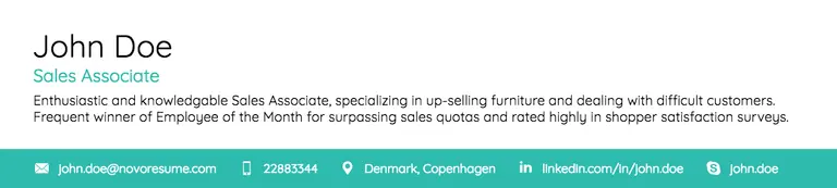 Job Titles - Examples for Your Resume & Job Search for 2025 | Novoresume