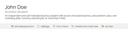 How to Create a Resume Header [5+ Examples]