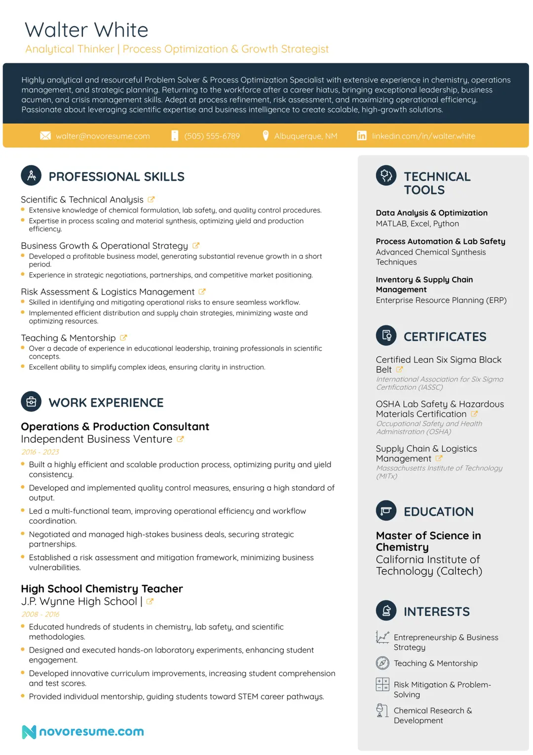 8 Steps to Write the Perfect Return to Workforce Resume | Novoresume