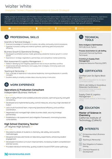 8 Steps to Write the Perfect Return to Workforce Resume | Novoresume