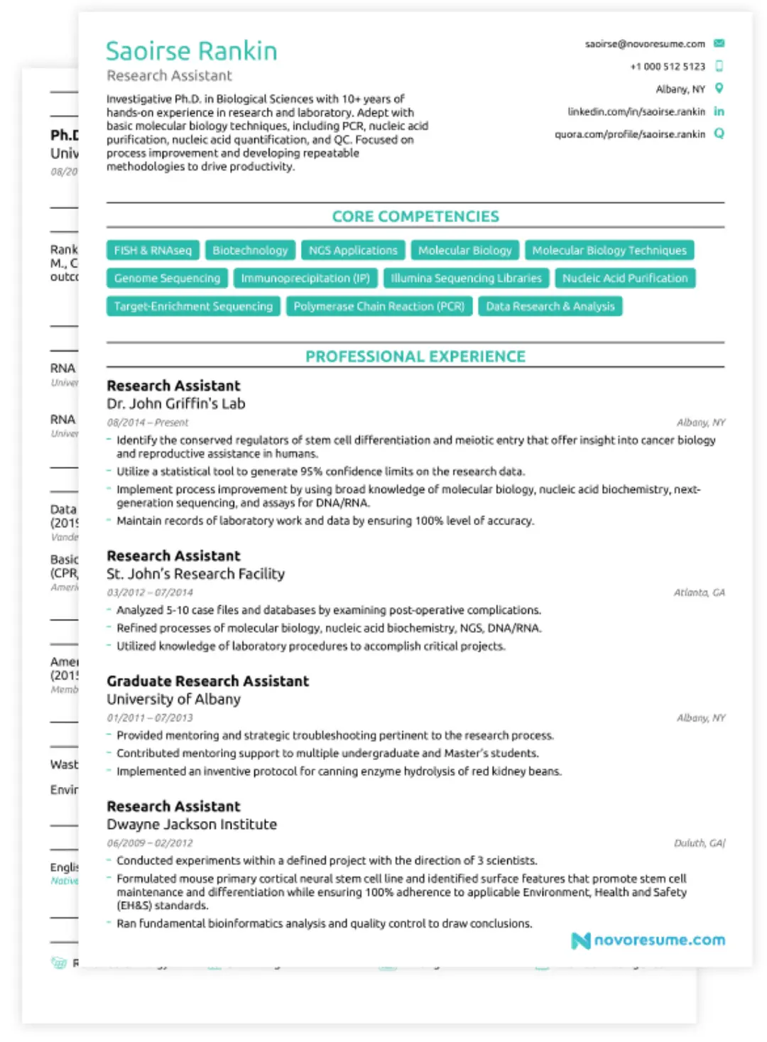 CV Design: 8+ Best Professional CV Templates in 2026 | Novoresume