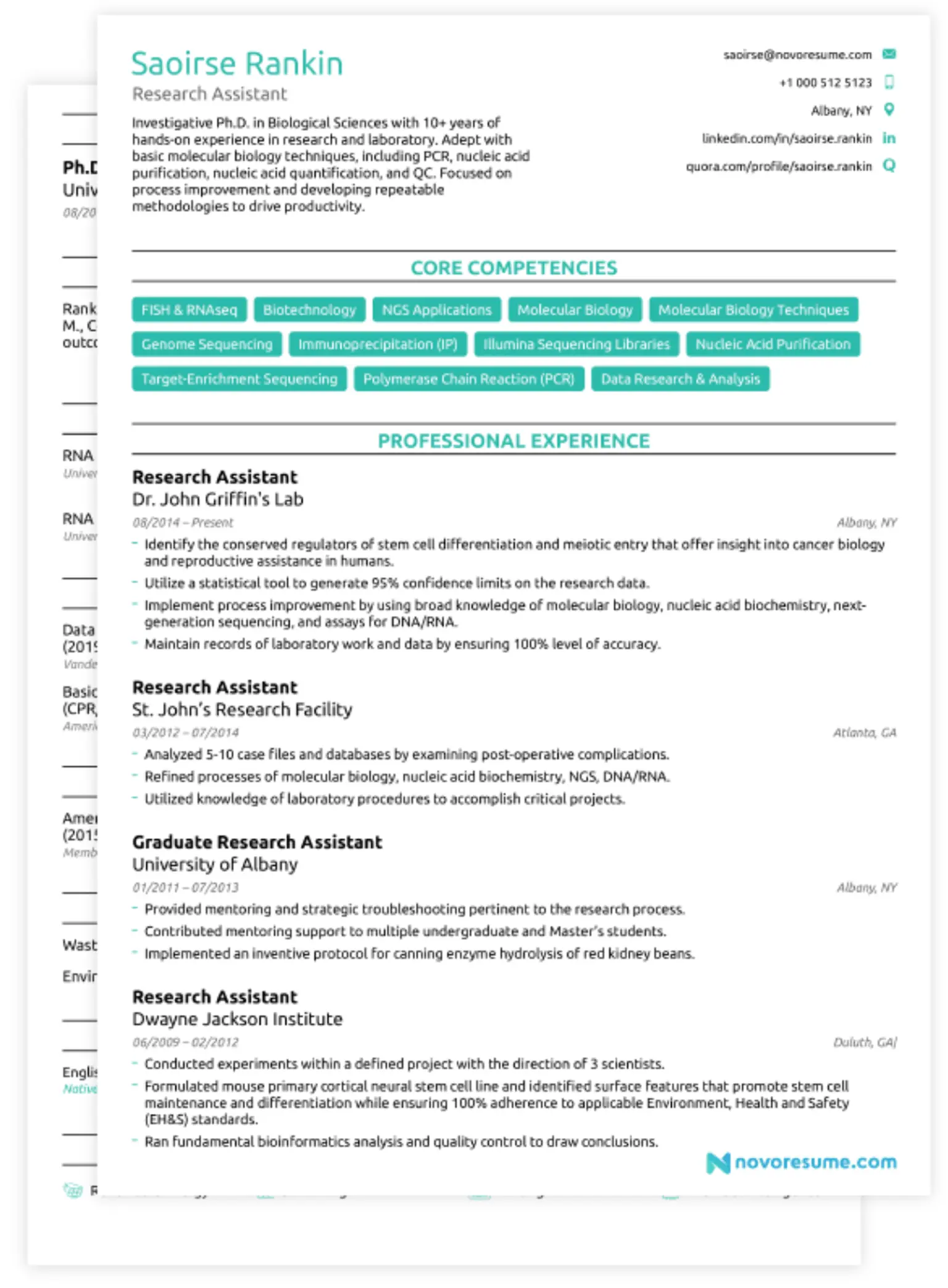 CV Design: 8+ Best Professional CV Templates in 2025 | Novoresume